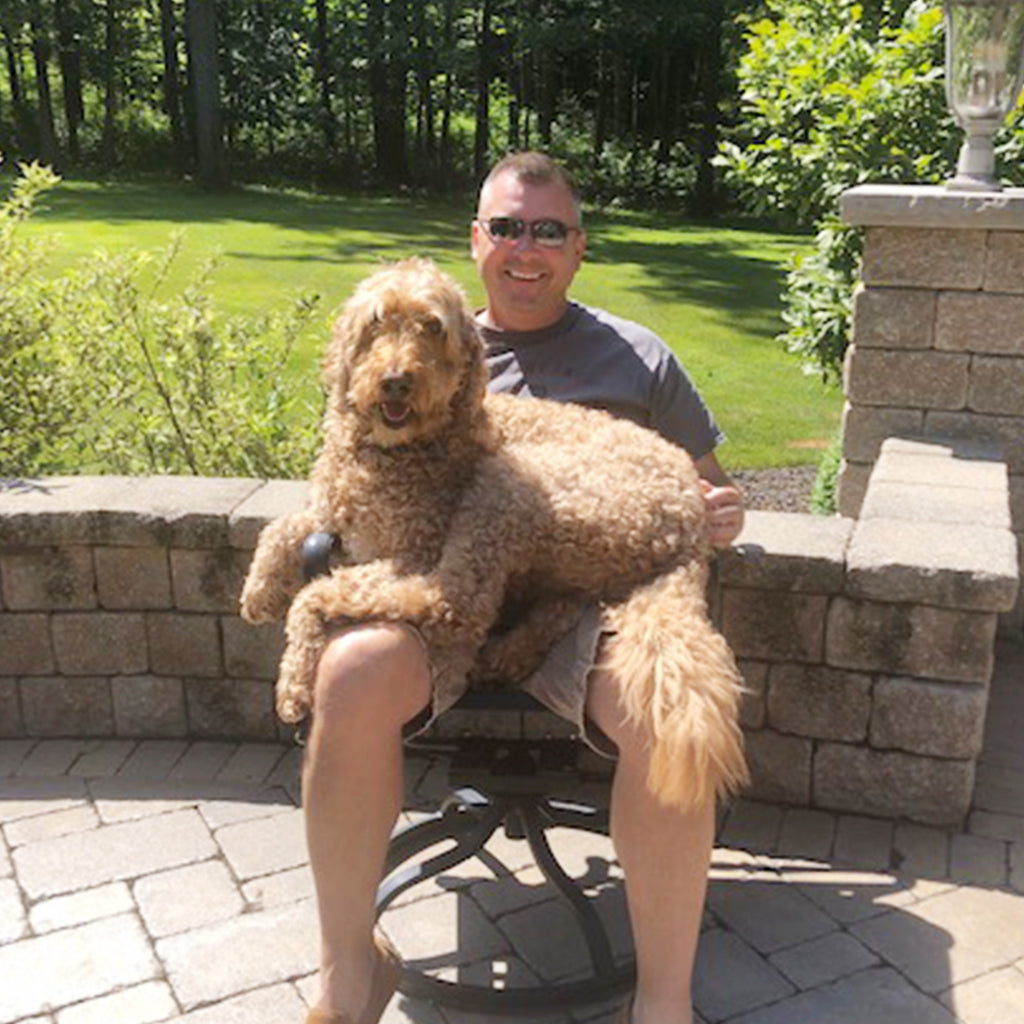 About Us - Jolly Pets