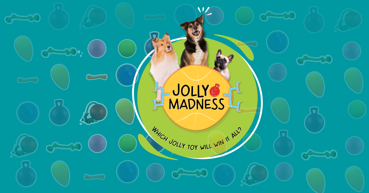 Join the Madness | Jolly Madness 2025 - Jolly Pets