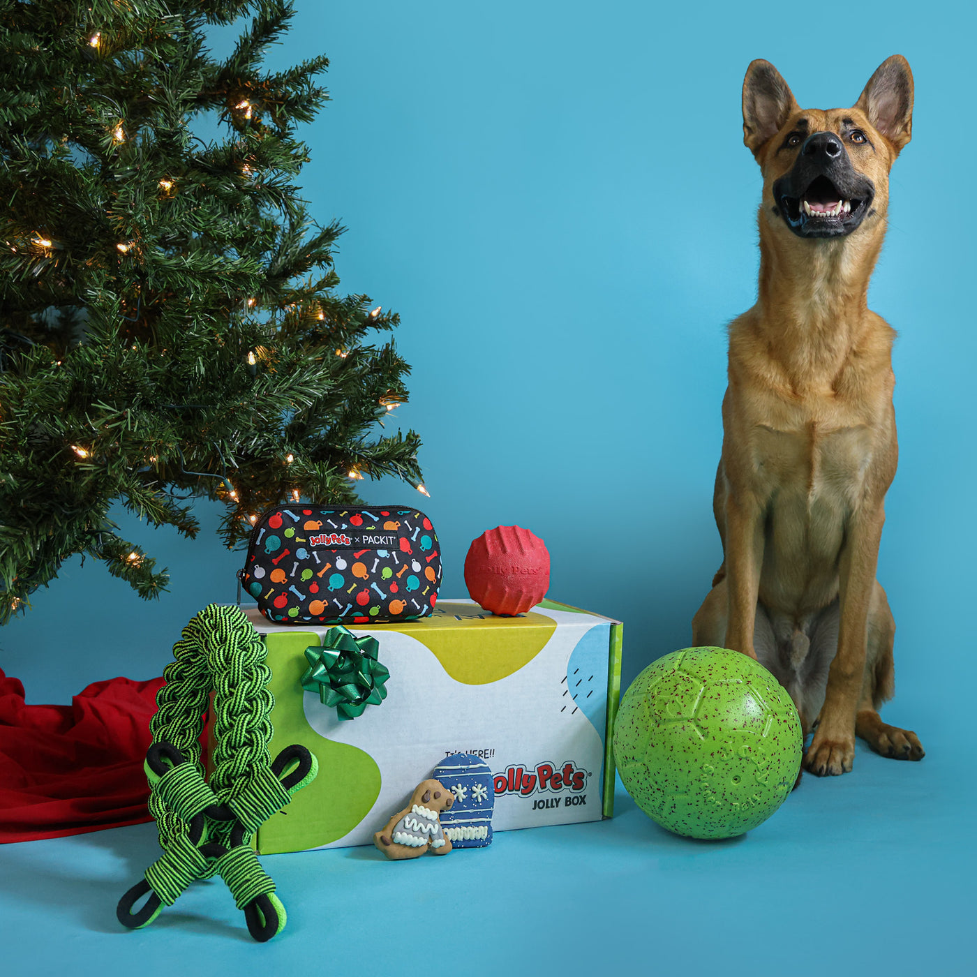 Jolly Soccer Balls - Jolly Pets