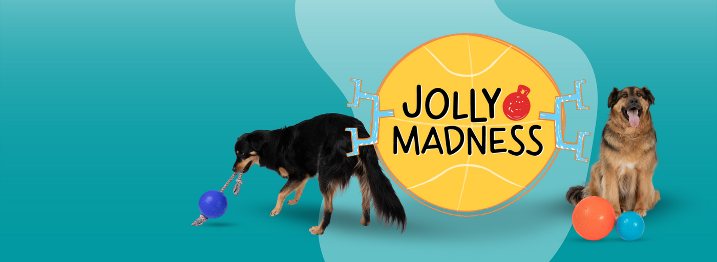 Jolly Pets